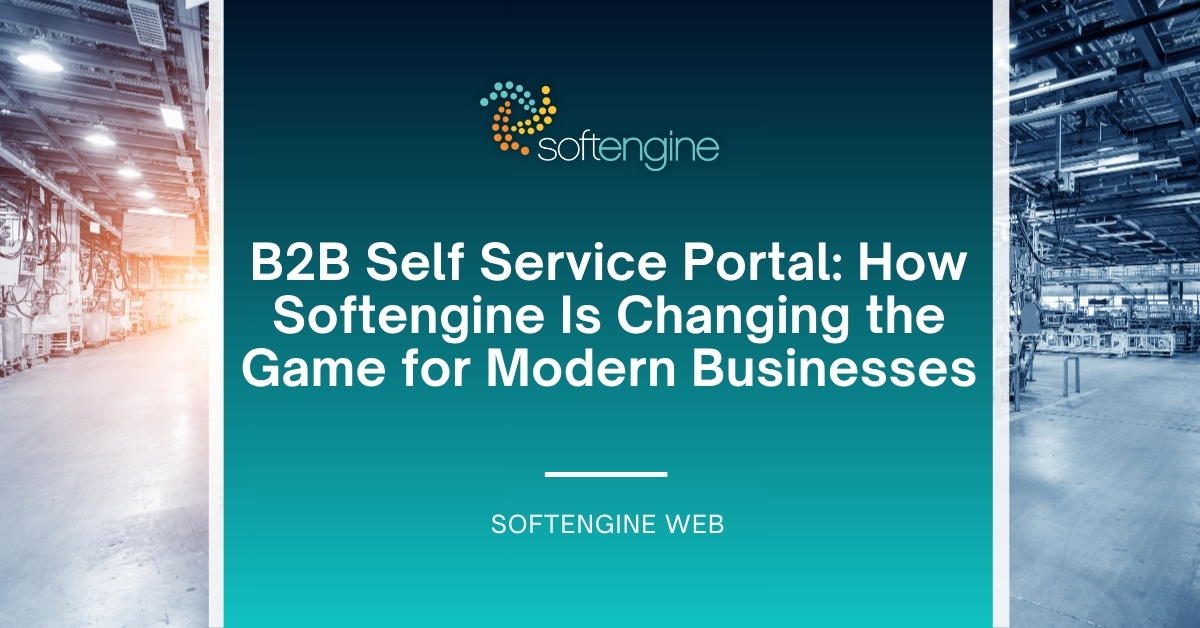 B2B Self Service Portal: How Softengine Is Changing the Game for Modern ...