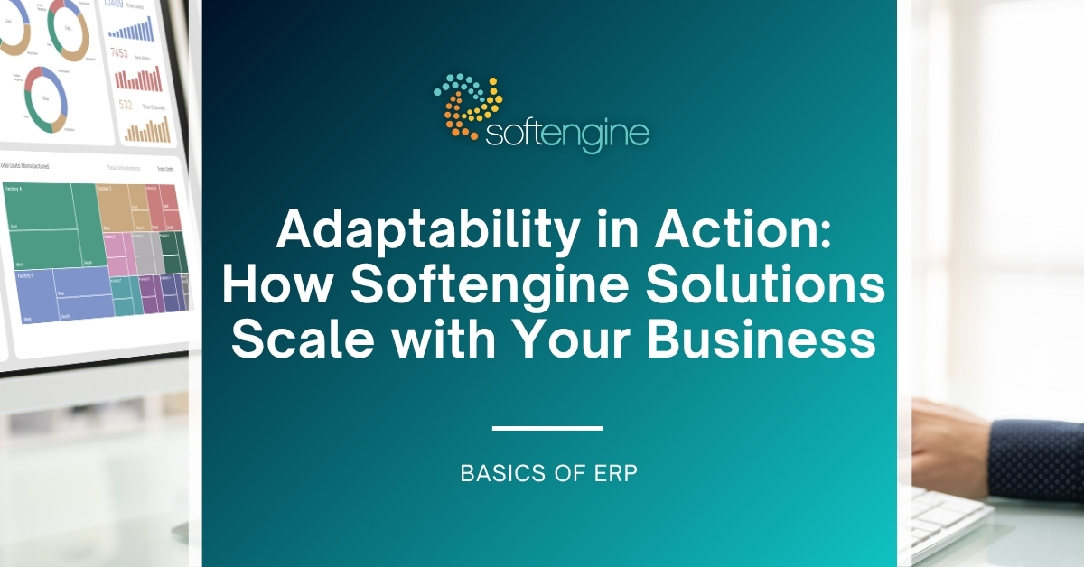 Adaptability in Action: How Softengine Solutions Scale with Your ...