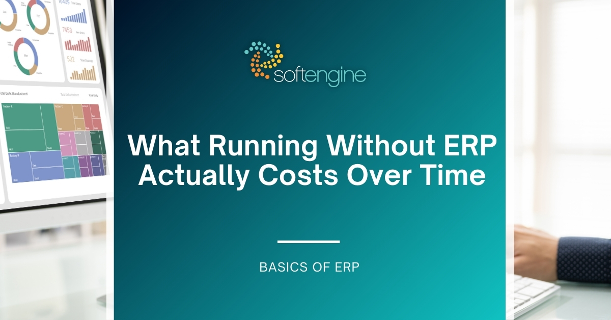 What Running Without ERP Actually Costs Over Time - Softengine, Inc.